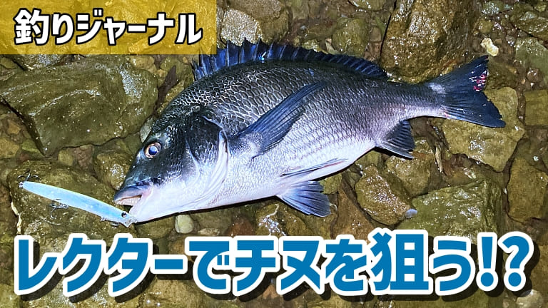 【レポート】RECTER111Fを駆使して謎のフィッシュイーターに迫る！【RECTER（レクター）】